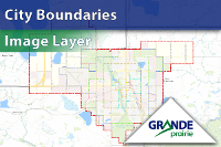 ArcGIS Web Application